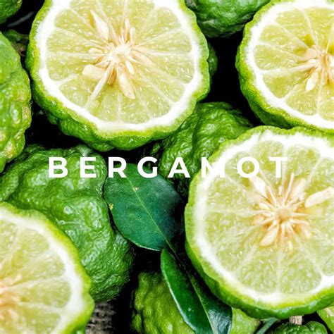 Bergamot Essential Oil Unlock Benefits And Boost Wellness