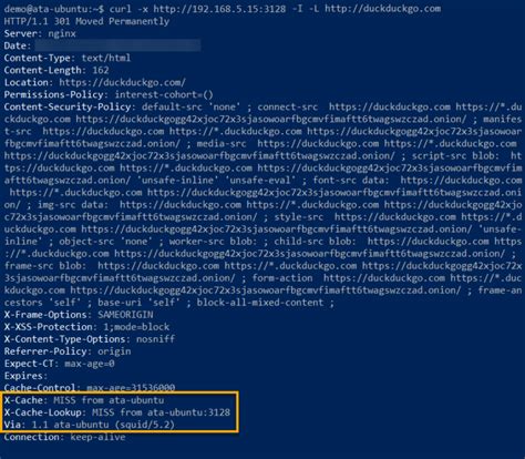 How To Set Up Proxy Server With Squid Proxy