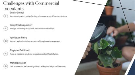 Top Weed PowerPoint Presentation Templates In