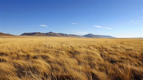 Serene Beauty Tranquil Landscape Of Open Plains With Golden Grass And