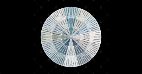 Wheel Of Needs Needs Wheel Sticker Teepublic