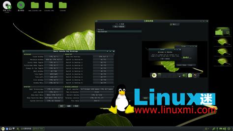 Bodhi Linux 发布基于 Ubuntu LTS Linux迷