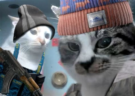 Escape From Tarkov Scavs Cats Неоновая живопись Военное искусство