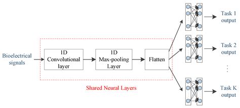 A Deep Multi Task Learning Approach For Bioelectrical Signal Analysis
