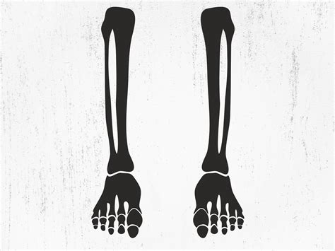Skeleton Svg Skeleton Parts Svg Skeleton Png Skeleton Cut File