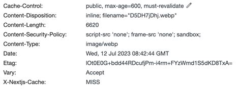 MinimumCacheTtl Option In Next Config Does Not Work When Deployed On Vercel But Works