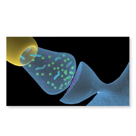 Scientific Illustration Services Simplified Science