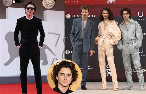 Timothée Chalamet Age Facts Height And Everything About The Rising