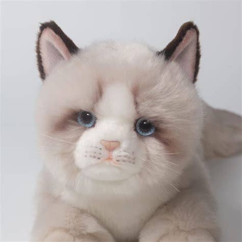 Cu Mate Graue Ragdoll Katze Stofftier Puppen Niedliches