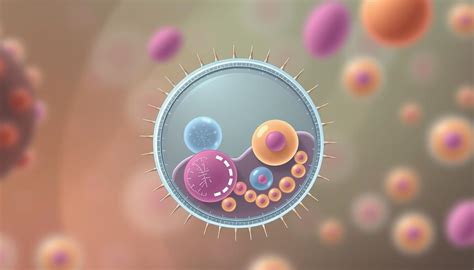 How Many Cells Are In Bacteria And Cell Structure Guide Ucallmlabs