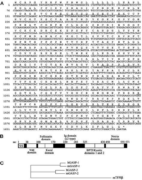 Gasp 1 Is A Multivalent Protease Inhibitor A Cdna And Protein Sequence
