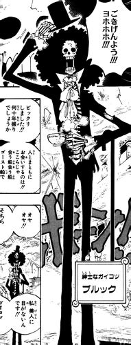 Brook History One Piece Wiki Fandom