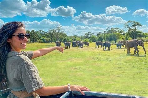 Infinity Safari Udawalwa Sri Lanka 2025 All You Should Know Before You Go W Reviews