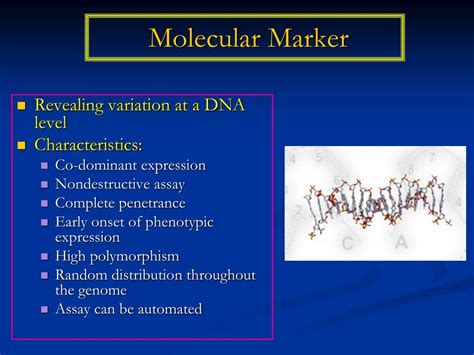 Ppt Molecular Markers And Its Applications In Livestock Improvement