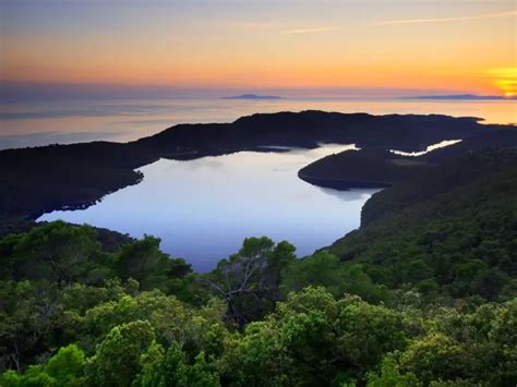 Mljet Scrolller