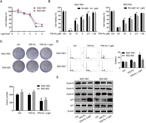 Correction Photodynamic Antitumor Activity Of Aggregation Induced Emission Luminogens As