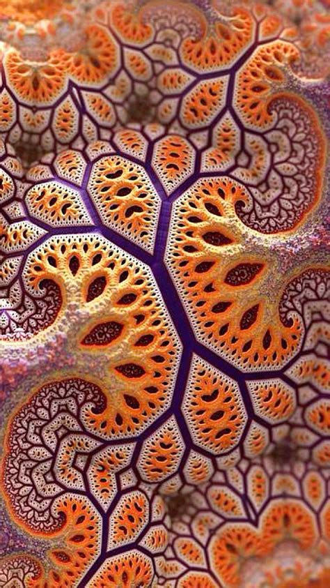 Oh Science — Coccolithophores Single Celled Algae Protists