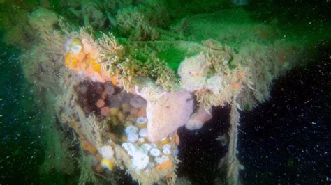 World War Ii Shipwreck Pollutes North Sea 80 Years Later Cnn