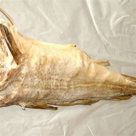 Ontdek Onze Lekkere Stokvis Recepten Jumbo