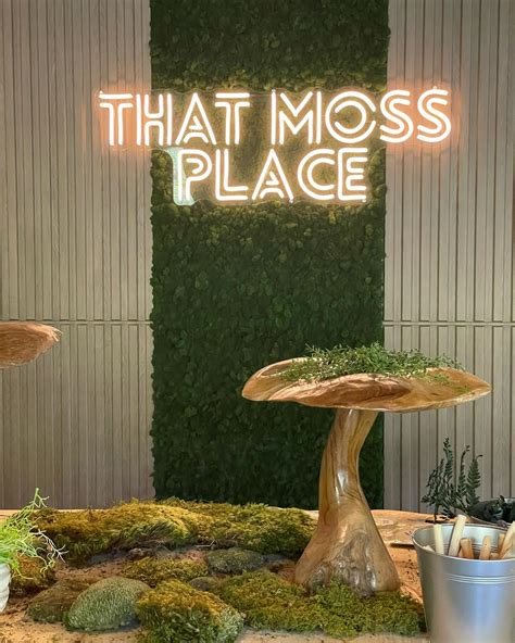 Moss Acres Rock Cap Moss Or Dicranum Scoparium Is Typically Found