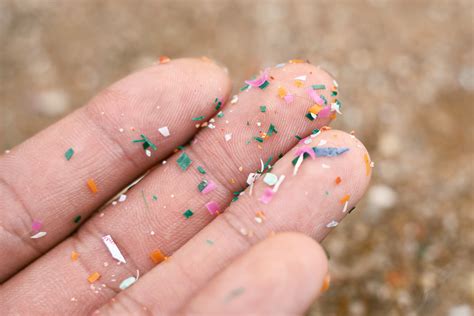 Study Finds Microplastics In Testicles With Possible Fertility Effects Men S Journal