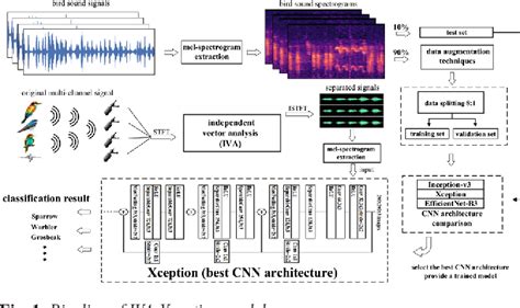 Figure 1 From Blind Source Separation‐based Iva‐xception Model For Bird Sound Recognition In