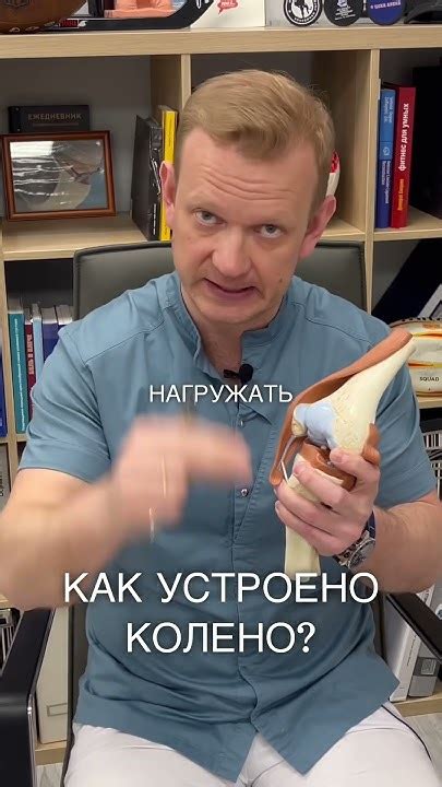 КАК УСТРОЕНО КОЛЕНО Youtube