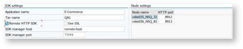 Set Up Sap Abap Agent