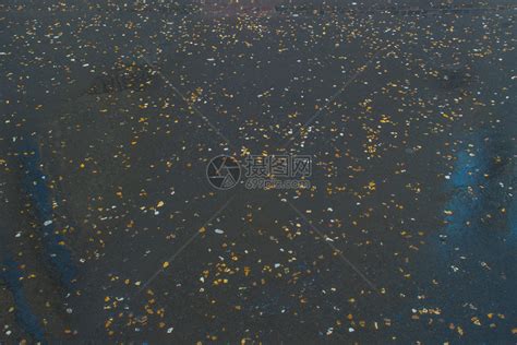 雨水后的湿铺面地板适合制作背景图象造反射地面高清图片下载 正版图片307505106 摄图网