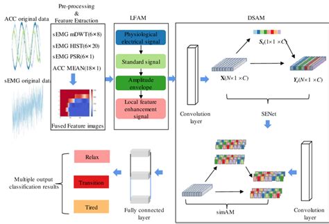 Structure Diagram Of Semg And Acc Fatigue Prediction Classification