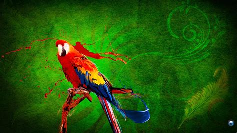 Parrot Os Wallpapers Wallpaper Cave