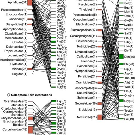 Species Interaction Networks Between Families Of Three Prevailing