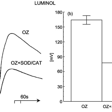 Effect Of Sod And Cat On Isoluminol Enhanced Cl In Oz Stimulated Human
