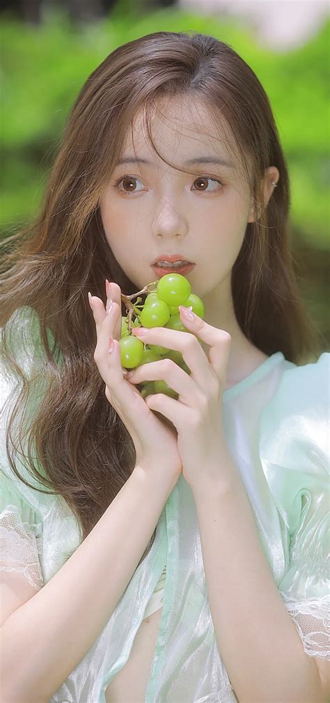 绿野仙踪 花瓣网