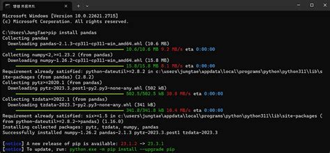 [python] 파이썬 판다스 pandas 설치 다운로드 하기 버전 확인
