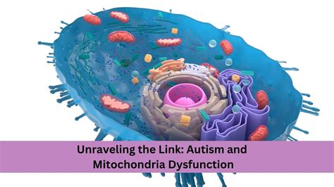 Unraveling The Link Autism And Mitochondria Dysfunction