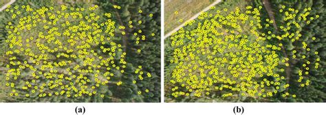 A B Features Detected In Both Images By Sift Detector Download