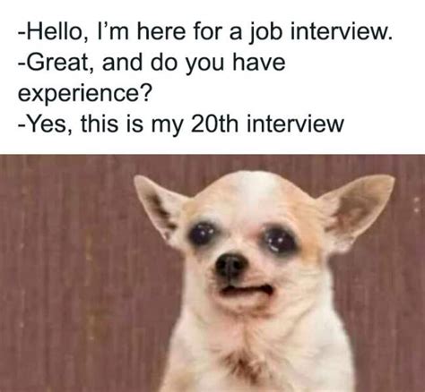 The Most Unhinged Memes And Jokes 28 Pics