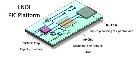 What Is A Flip Chip Used For At Rebecca Bowens Blog