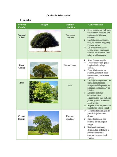 Cuadro De Arborización Pdf Arce Arboles