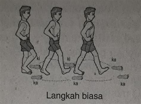 Gerak Langkah Kaki Dalam Senam Irama Biasa Rapat Depan Freedomsiana