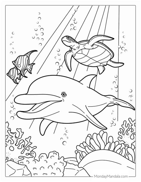 34 Dolphin Coloring Pages Free Pdf Printables