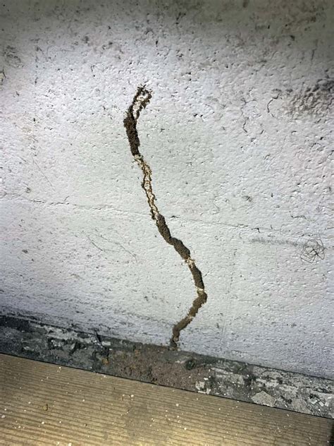 Gallery Slug A Bug Pest Control
