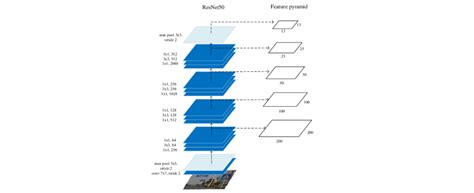 The Backbone Network And Feature Pyramid Of Faster R Cnn Download