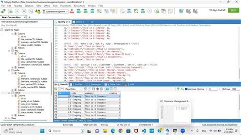 Dbms Project Using Sql And Python Youtube