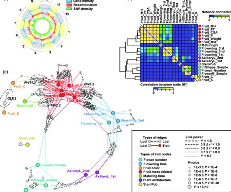 Dissection Of Trait Correlation Using A Trait Locus Network A Download Scientific Diagram