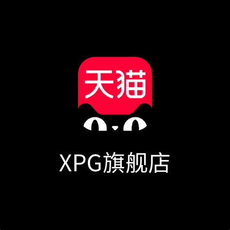 龙耀 D300g Ddr5 电竞内存 Xpg