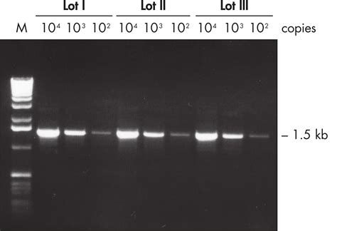 Taq Pcr Core Kit