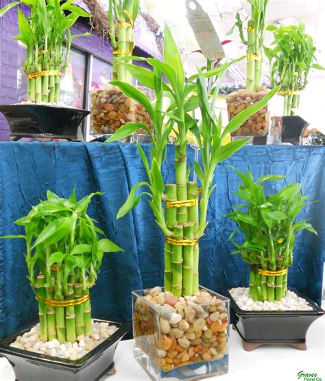 Glory Lucky Bamboo Vases Pots Colorful Fake Flowers