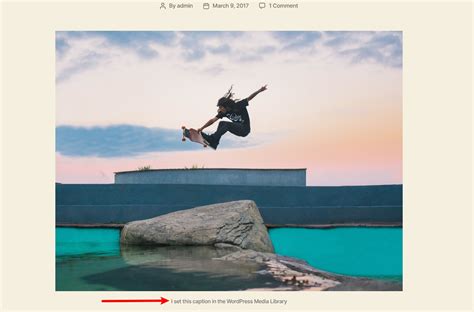 Elementor Image Widget How To Add Text On Top Of An Image ThemeWaves